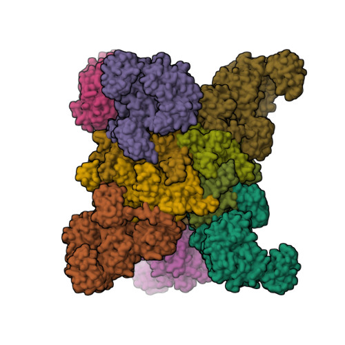 RCSB PDB - 8XL5: Structure of human propionyl-CoA carboxylase in ...