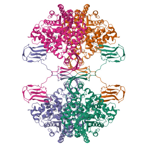 RCSB PDB - 8XL9: Structure of human pyruvate carboxylase