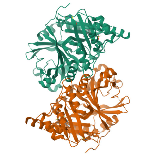 RCSB PDB - 8XLW: Crystal structure of AtHPPD+BBC-OH complex