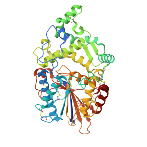 RCSB PDB - 8XM2: The mutant crystal structure of phytase APPAmut9 from ...