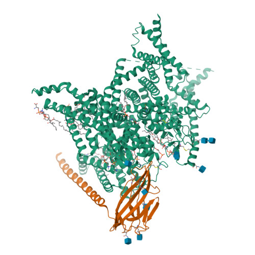 RCSB PDB - 8XMM: Voltage-gated sodium channel Nav1.7 variant M9