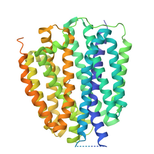 RCSB PDB - 8XO9: VMAT2 complex with noradrenaline in cytosol-facing state