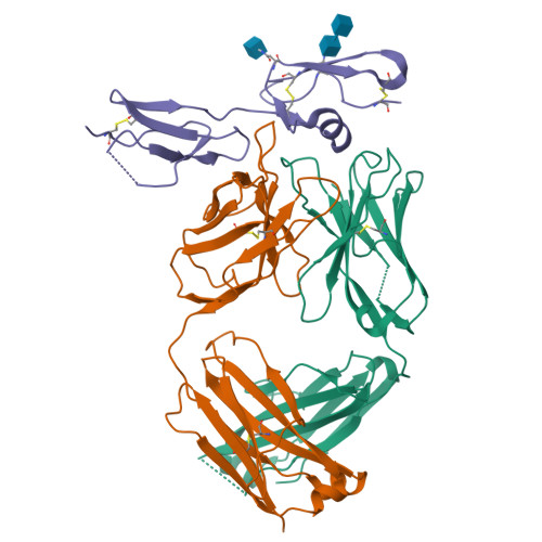 RCSB PDB - 8XS3: Structure of MPXV B6 and D68 fab complex