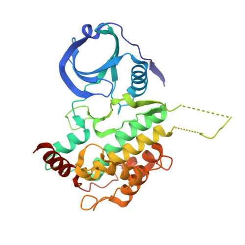 RCSB PDB - 8XU4: The Crystal Structure of MAPK2 from Biortus.
