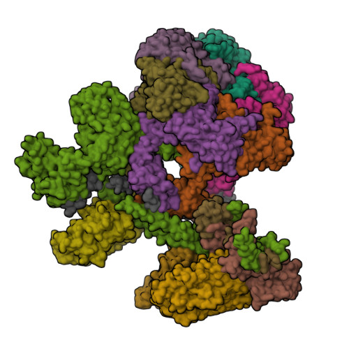 RCSB PDB - 8XVT: The core subcomplex of human NuA4/TIP60 complex