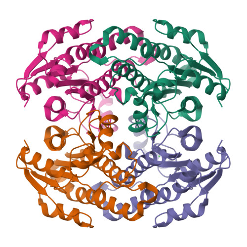 RCSB PDB - 8XXB: Crystal Structure of a triple-mutant (A69F/M124P/R127G ...