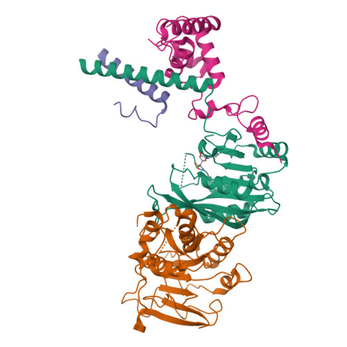 RCSB PDB - 8XYP: Cryo-EM structure of SAH-bound Tetrahymena DNA ...