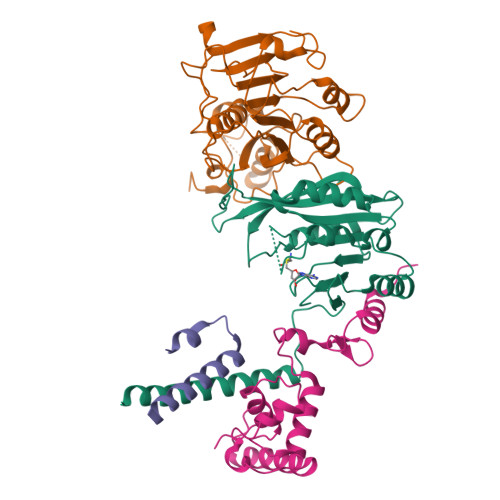 RCSB PDB - 8XYQ: Cryo-EM structure of SAM-bound Tetrahymena DNA ...
