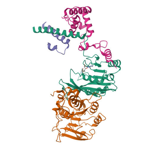 RCSB PDB - 8XYX: Cryo-EM structure of SAM-bound Tetrahymena DNA ...