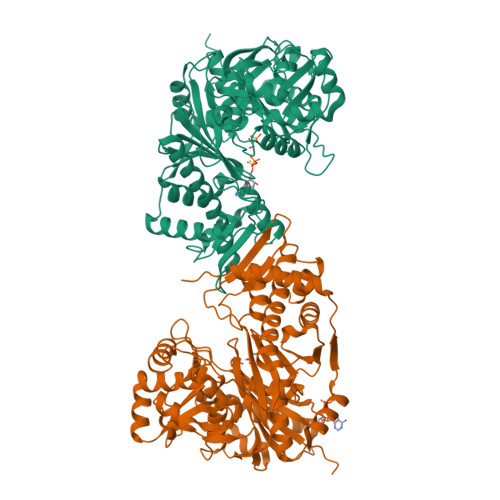 RCSB PDB - 8Y1T: CRYSTAL STRUCTURE OF TRYPANOSOMA BRUCEI GAMBIENSE ...
