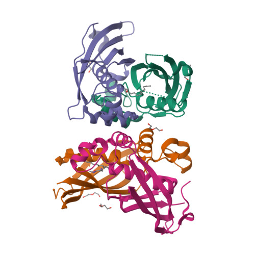 RCSB PDB - 8Y21: Crystal Structure of (3R)-hydroxyacyl-ACP dehydratase ...
