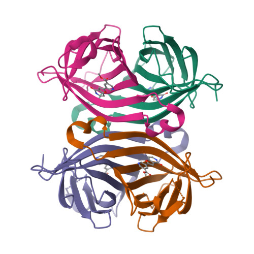RCSB PDB - 8Y23: X-ray crystal structure of ALiS4-Streptavidine complex ...