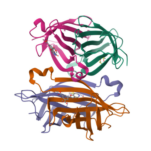 RCSB PDB - 8Y26: X-ray crystal structure of ALiS5-Streptavidine complex ...