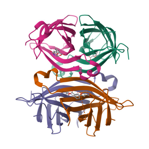 RCSB PDB - 8Y2A: X-ray crystal structure of ALiS2-Streptavidine complex ...