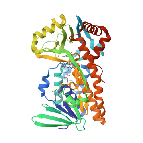 RCSB PDB - 8Y2S: P-hydroxybenzoate hydroxylase complexed with 4-hydroxy ...