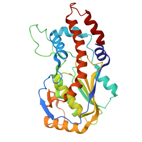 RCSB PDB - 8Y2Y: MPXV mRNA capping enzyme small subunit