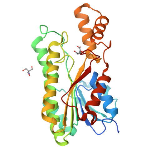RCSB PDB - 8Y46: Crystal structure of L-2-keto-3-deoxyfuconate 4 ...