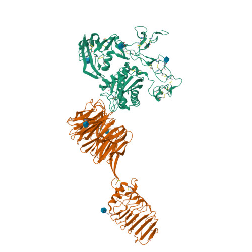 RCSB PDB - 8Y6B: Structure of human LGI1-ADAM22 complex in space group ...