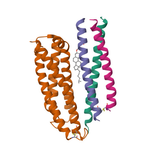 RCSB PDB - 8Y84: Structure of the high affinity receptor fc(epsilon)ri TM