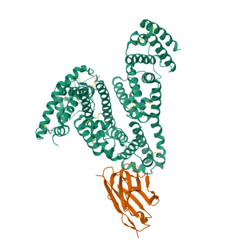 RCSB PDB - 8Y9S: Crystal structure of nanobody MY6321 bound to human ...
