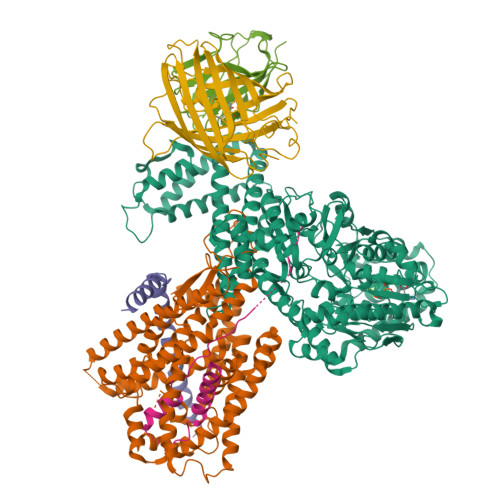RCSB PDB - 8YA2: Structure of the SecA-SecY complex with the substrate ...