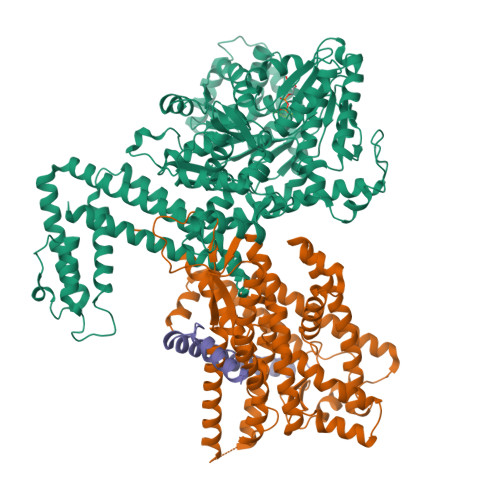 RCSB PDB - 8YAS: Structure of the SecA-SecY complex with the substrate ...