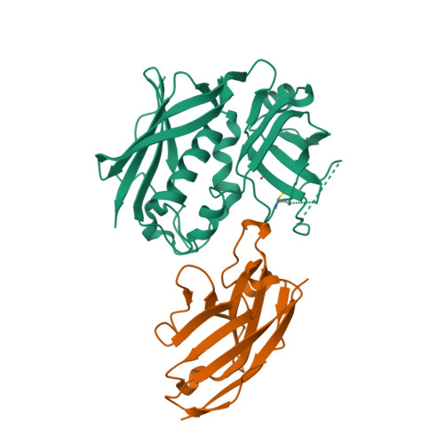 RCSB PDB - 8YBP: Crystal structure of nanobody SEB-Nb20 bound to ...