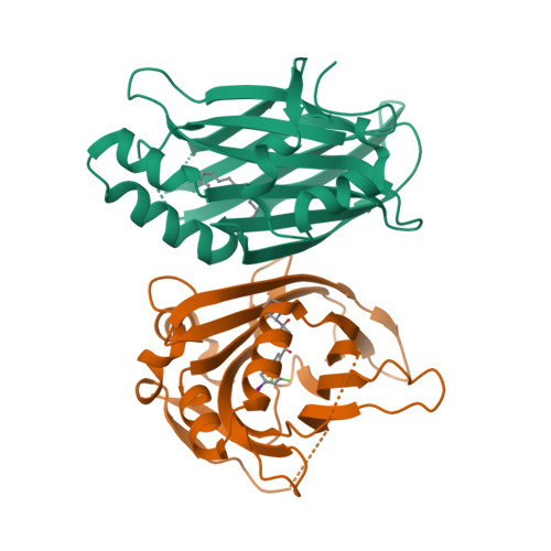 RCSB PDB - 8YGQ: Crystal structure of Human TEAD2 in complex with ...