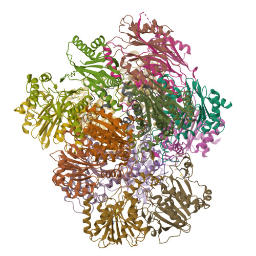 RCSB PDB - 8YIX: Cryo-EM structure of human proteasome assembly ...