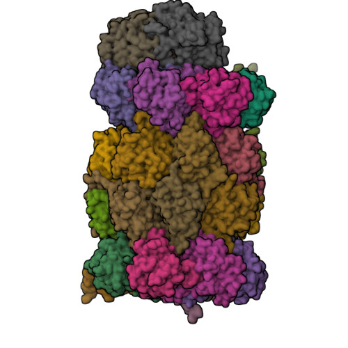 RCSB PDB - 8YIZ: Cryo-EM structure of human proteasome assembly ...