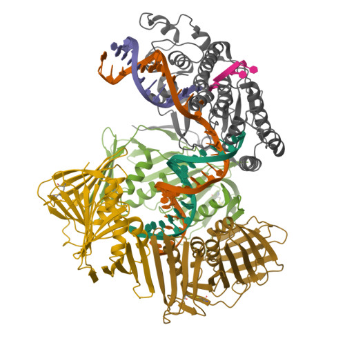 RCSB PDB - 8YJL: Structure of the human endogenous PCNA-FEN1 complex ...