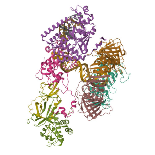 RCSB PDB - 8YJZ: Structure of the human endogenous PCNA-FEN1-RNase H2 ...