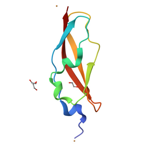 RCSB PDB - 8YK7: Structure of Rib domain from surface adhesin of ...