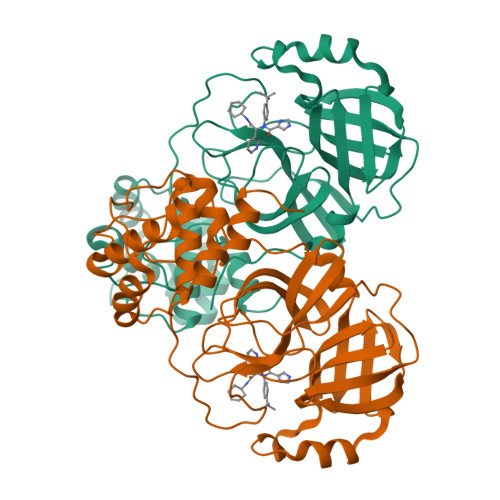 RCSB PDB - 8YKN: Crystal structure of SARS-Cov-2 main protease K90R ...