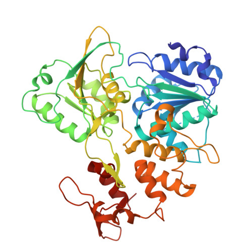RCSB PDB - 8YNJ: Crystal structure of Langat virus helicase