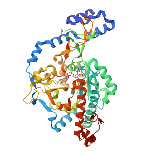 RCSB PDB - 8YP3: Crystal structure of UDP-N-acetylglucosamine ...