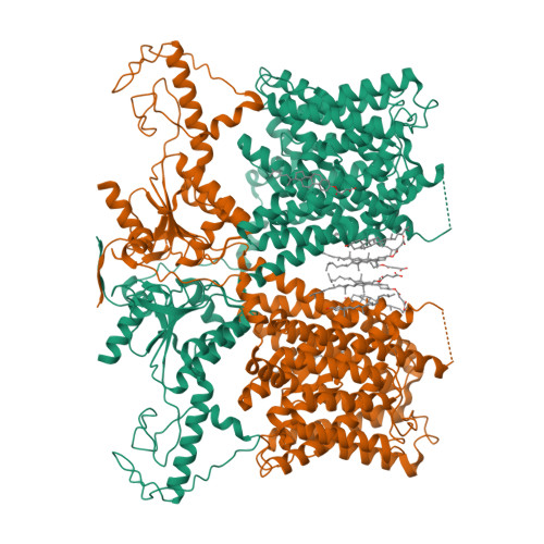 RCSB PDB - 8YR9: the Cyro-EM Structure of human SLC26A3