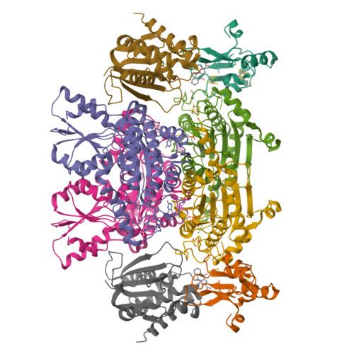 RCSB PDB - 8YS6: Helicobacter pylori OorDABC in complex with Napabucasin