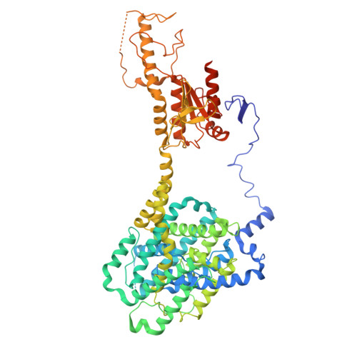RCSB PDB - 8YS8: The Cyro-EM Structure of human SLC26A3 with non ...