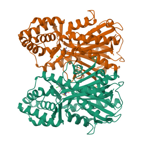 RCSB PDB - 8YT0: Structure of CylI in complex with acyl-SNAC substrate