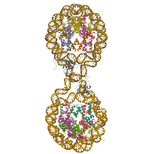 RCSB PDB - 8YTI: Crystal Structure of Nucleosome-H1x Linker Histone ...