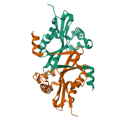 RCSB PDB - 8YV7: X-ray structure of Thialysine N-epsilon ...