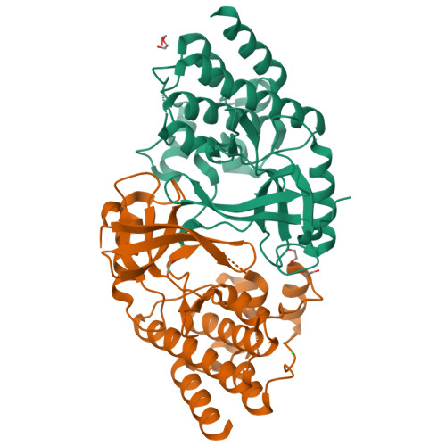 RCSB PDB - 8YVV: The Crystal Structure of BTK from Biortus