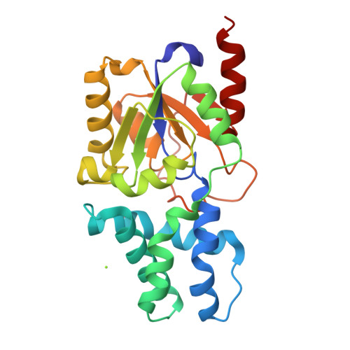 RCSB PDB - 8YVW: Crystal structure of D12N mutant of L-azetidine-2 ...