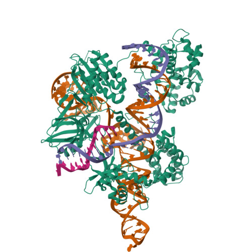 RCSB PDB - 8YWH: Cryo-EM structure of small and dead form SaCas9-RNA ...