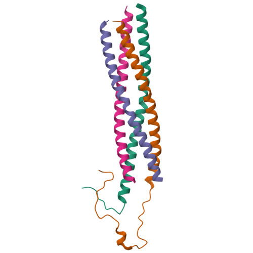 Rcsb Pdb 8yxr Structure Of Phosphoprotein Tetramer From Mumps Virus