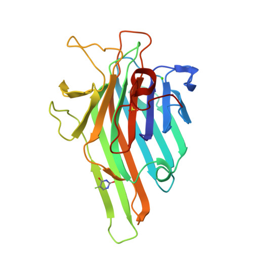 RCSB PDB - 8YYA: Crystal Structure of Concanavalin A Complexed with 5 ...