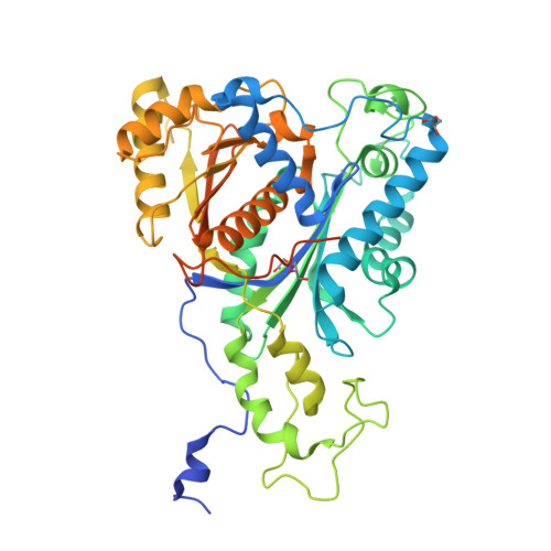 RCSB PDB - 8YZ3: Crystal structure of Type Six Secretion System adaptor ...