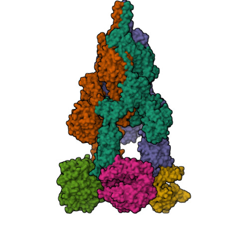 RCSB PDB - 8YZE: The JN.1 spike protein (S) in complex with ACE2.