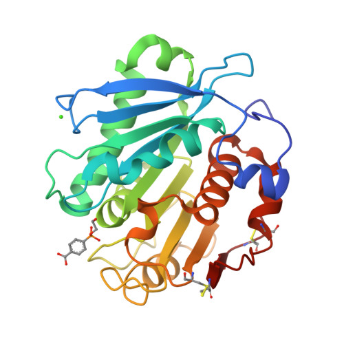 RCSB PDB - 8Z2H: Substrate analog a010 bound form of PET-degrading ...